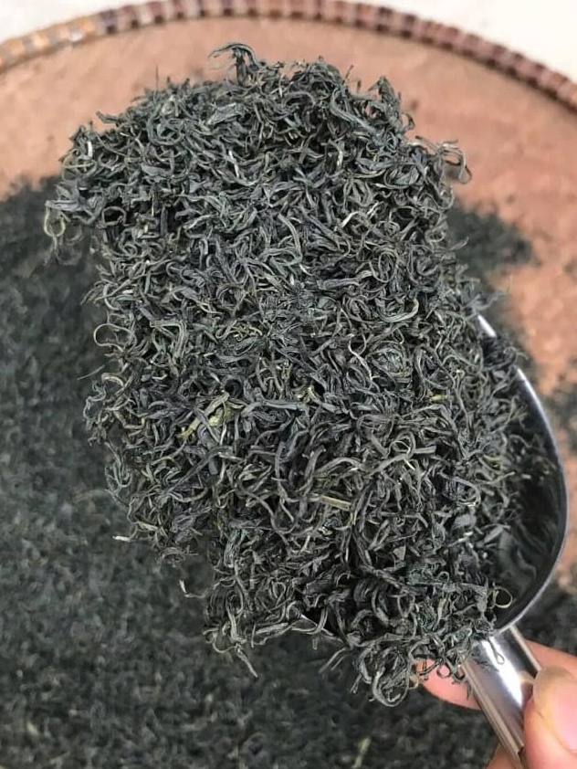 Genuine Thai Nguyen green tea, 1 bag of 1kg (2 bags of 500g) | Shopee ...