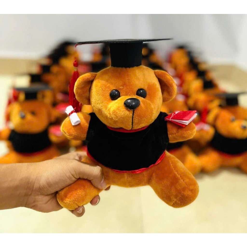 Graduation teddy bear 18cm, genuine Chinese teddy bear | Shopee Philippines