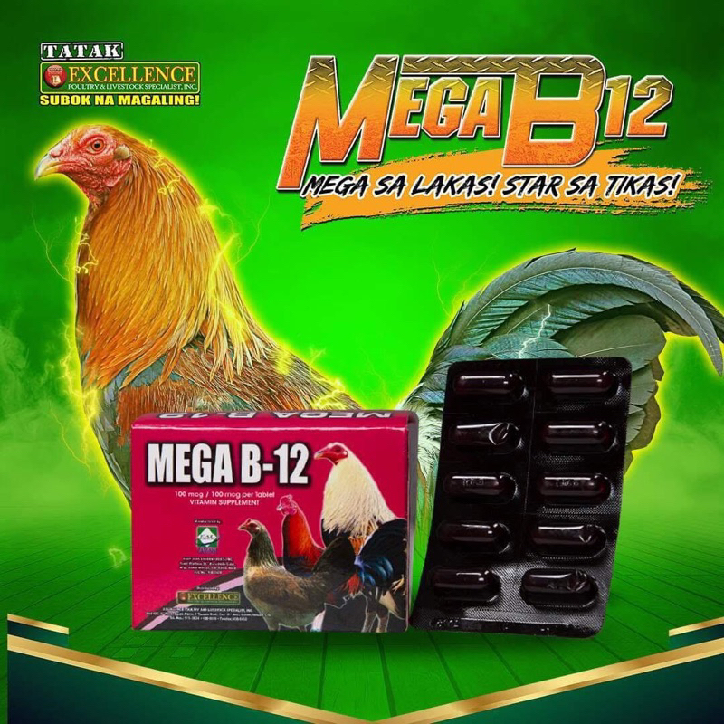 MEGA B12 | 1 BOX OF 100 TABLETS - VITAMINS FOR GROWING CHICKENS FOR ...