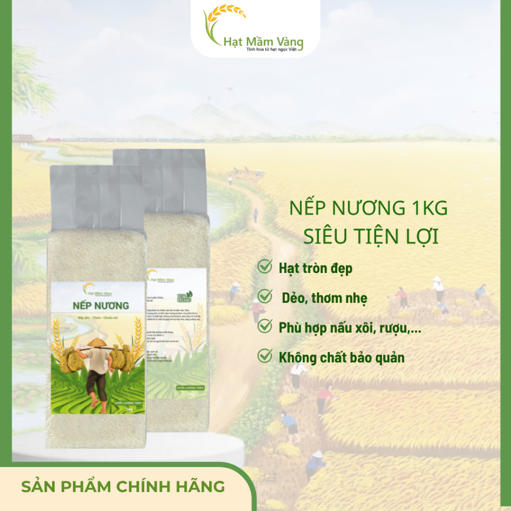 Nuong Sticky Rice - Golden Sprout Seeds - Try 1kg | Shopee Philippines