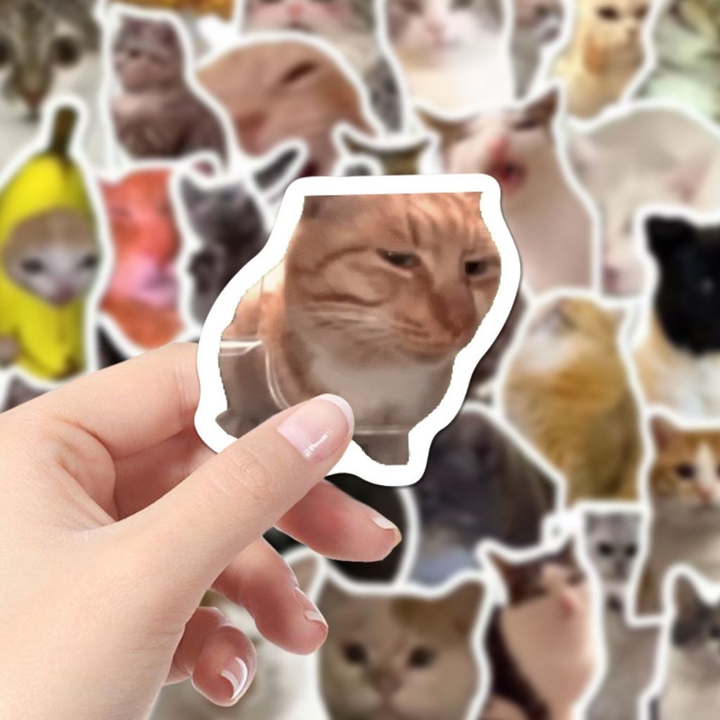 Set of 100 Super Funny Cat Meme Stickers - Suitable for Decorating ...