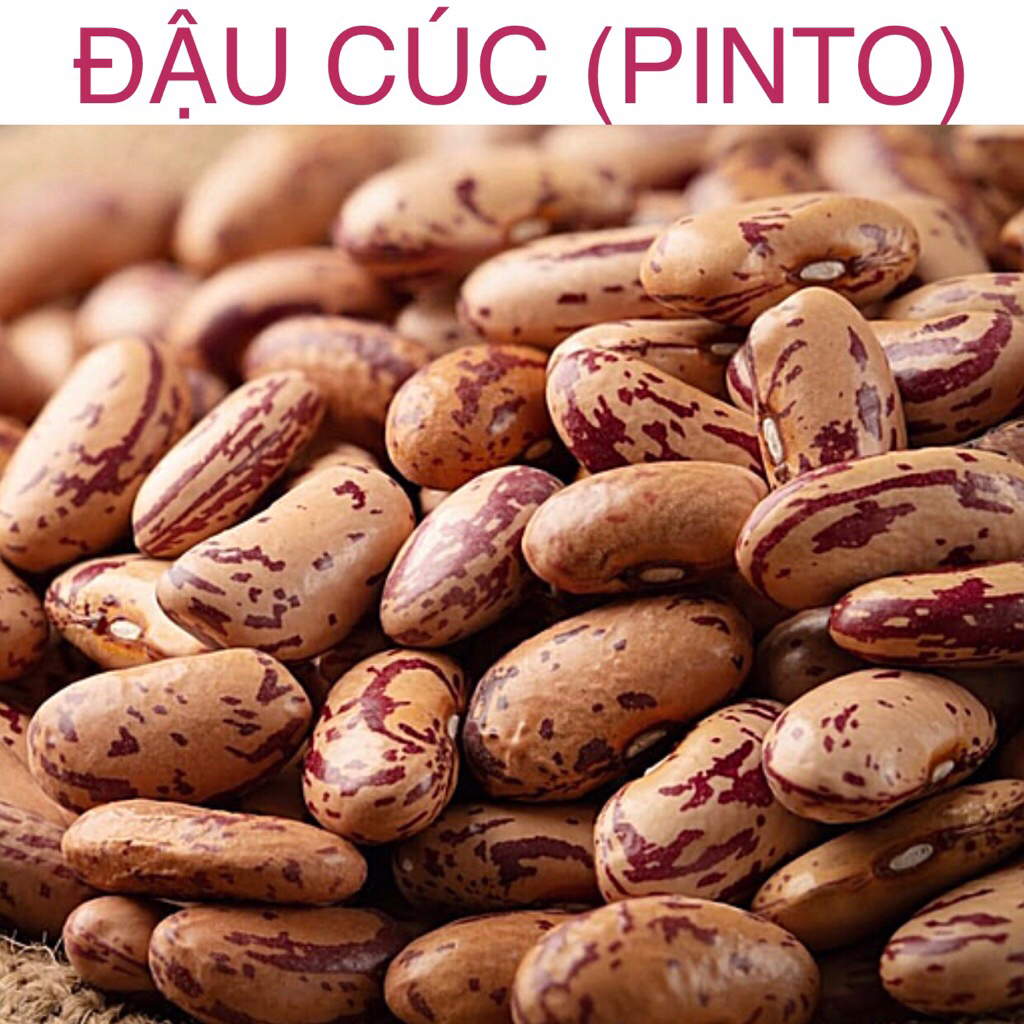 Argentina Pinto beans | Shopee Philippines