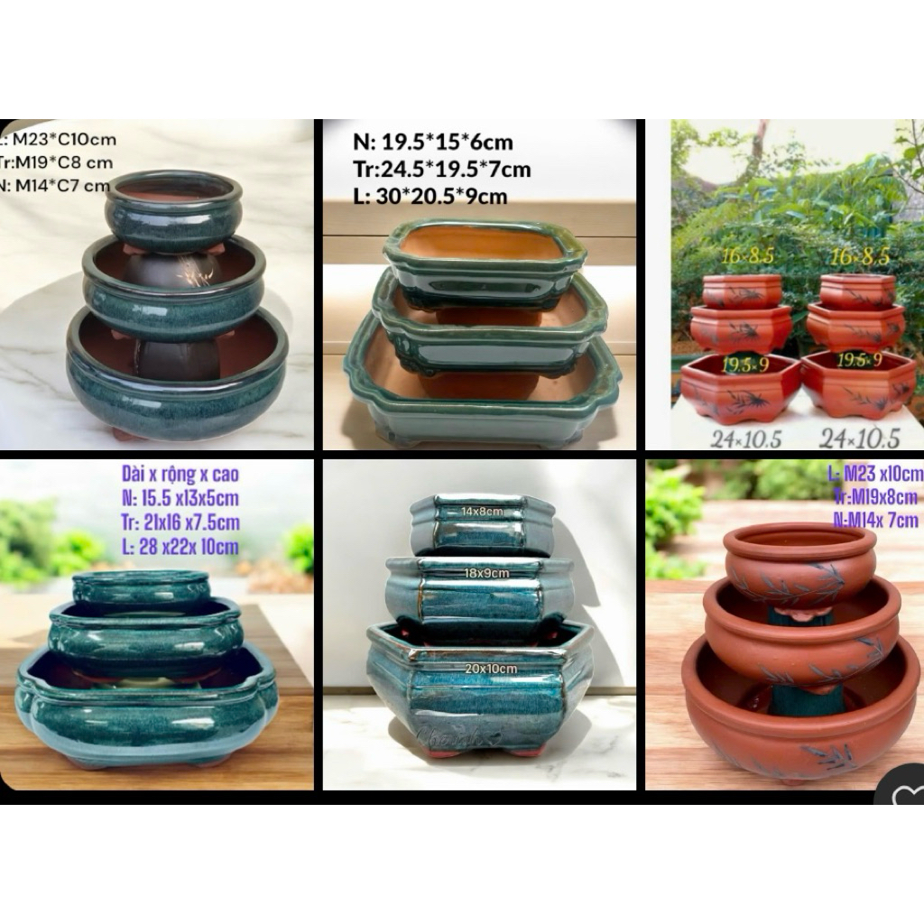Stone lotus bonsai pots of all kinds with beautiful designs | Shopee ...