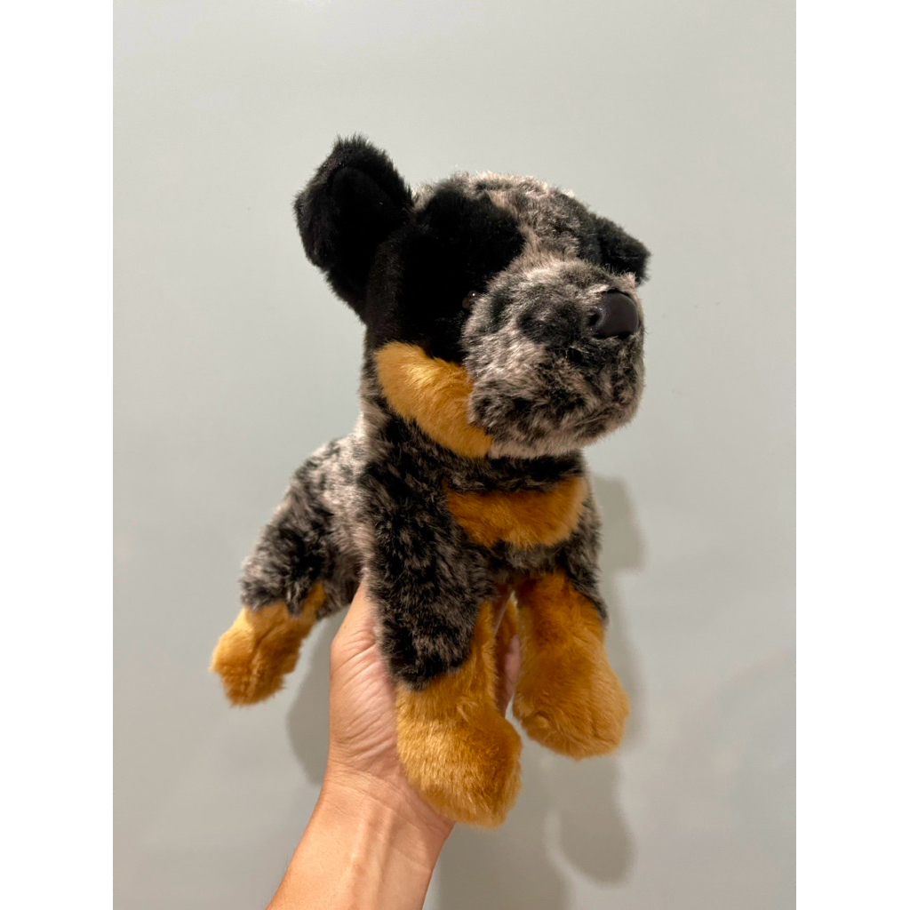 Beautiful Genuine Doughlas Dexter Australian Cattle teddy bear | Shopee ...
