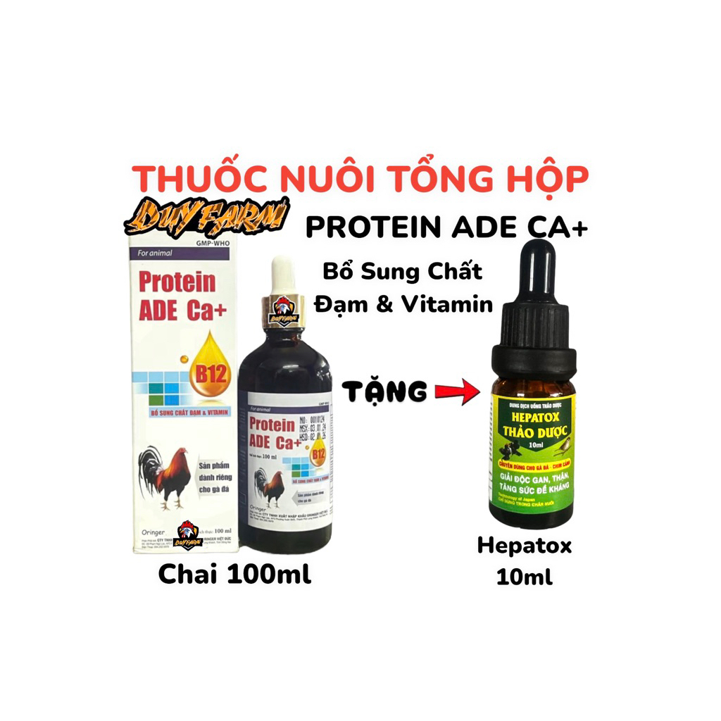 Protein b12 ADE Ca+B12 Supplements to Nourish Fighting Cocks. Products ...