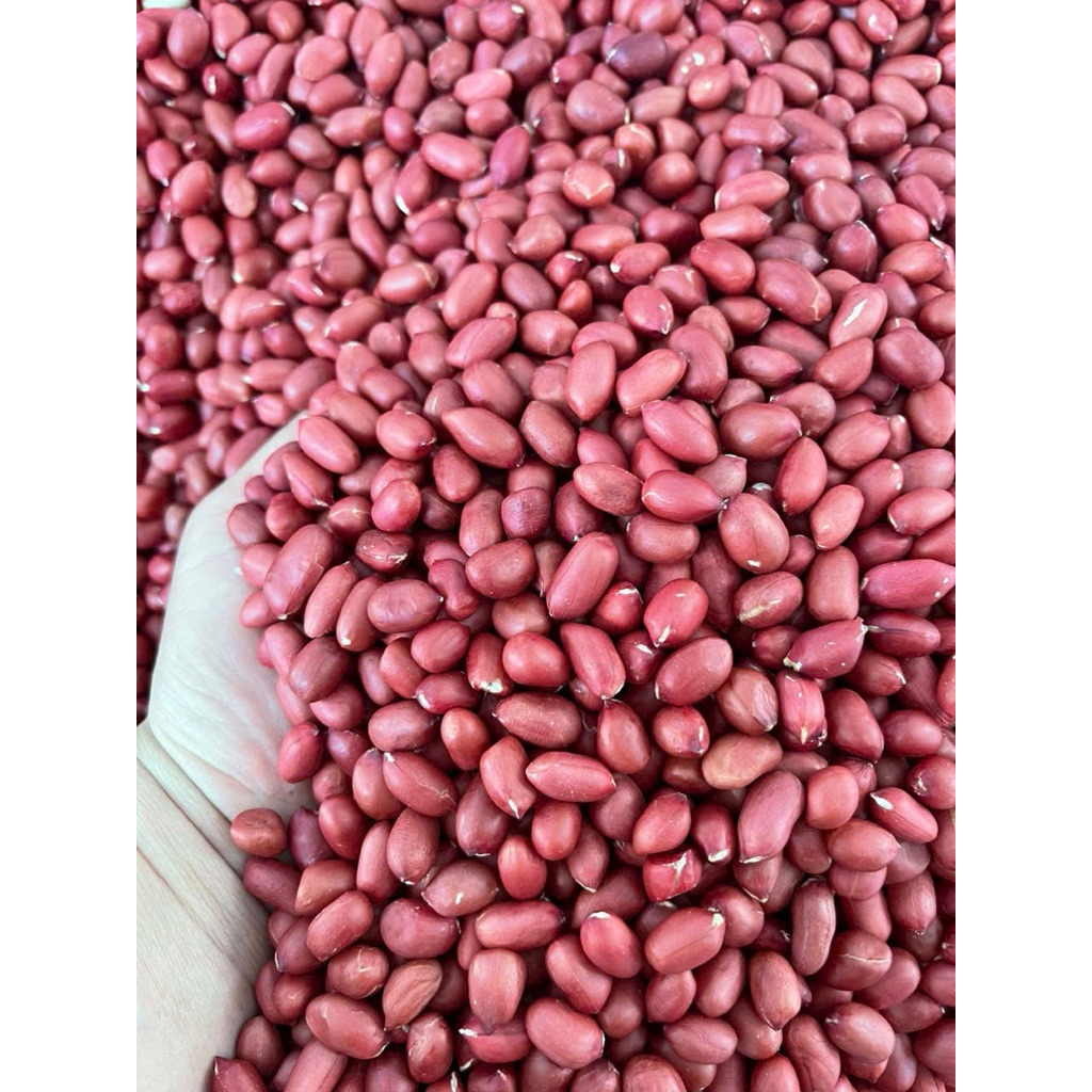 COMBO 2KG RED PEANUTS FOR DIEN BIEN COUNTRY. Fragrant Dried Peanuts ...