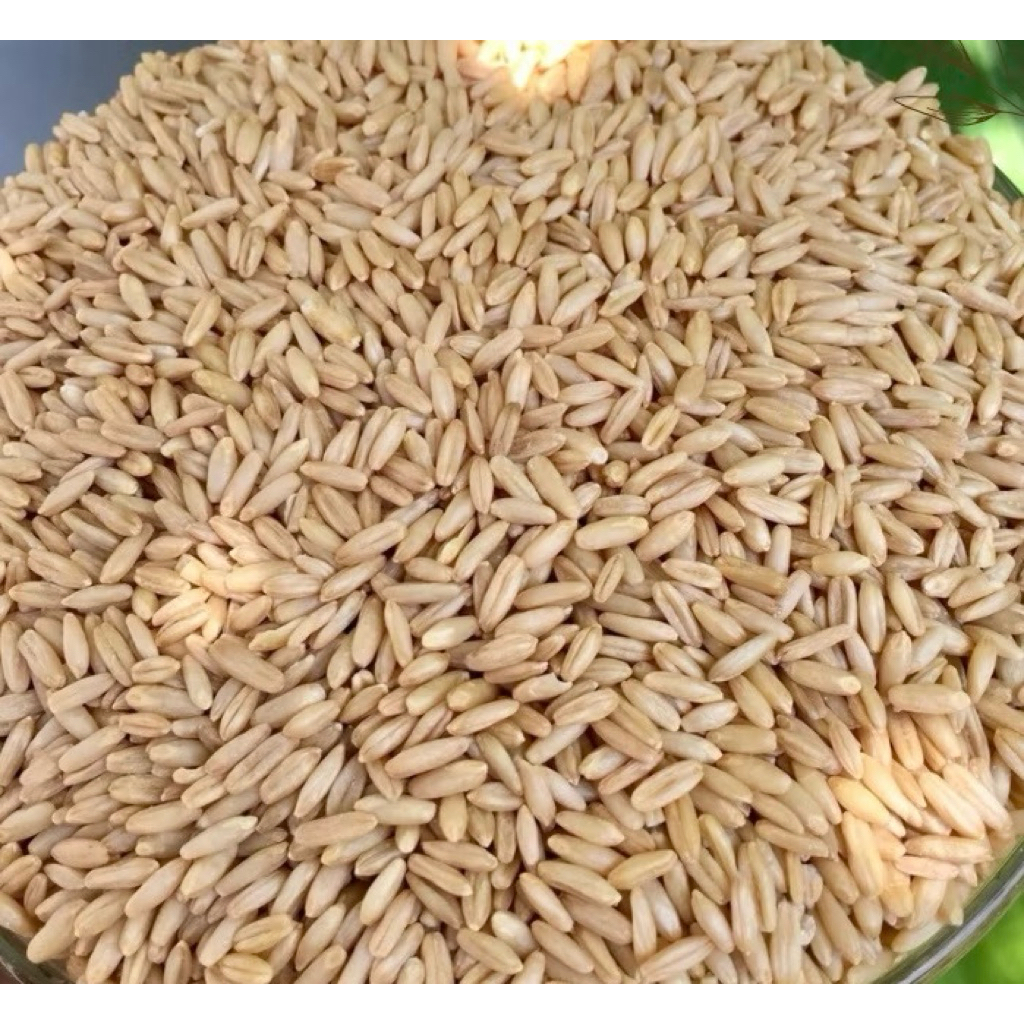 1KG SHELLED, WHOLE OATS FOR Parrots, Chickens, and Ornamental Birds ...