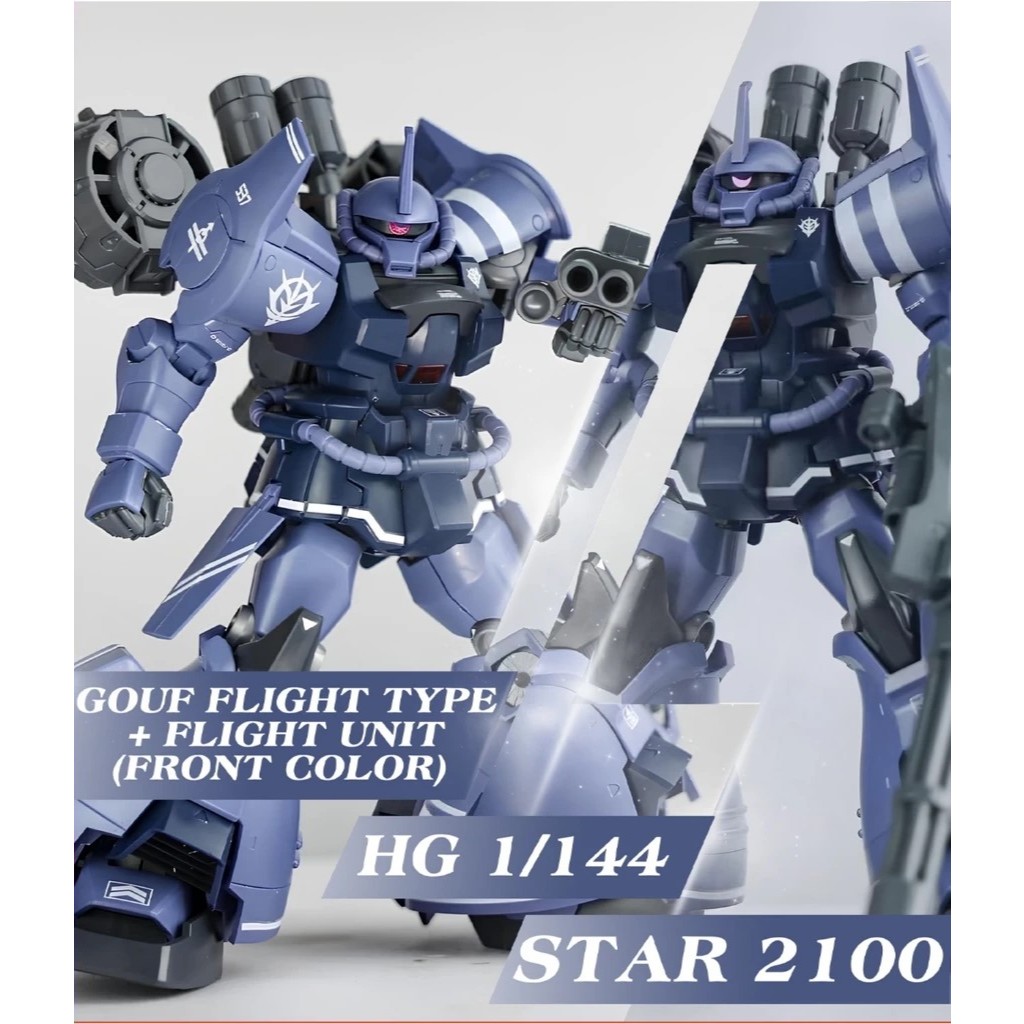 HG Star 2100 Assembly Model MS-07H-8 Gouf Flight Type + Flight Unit ...