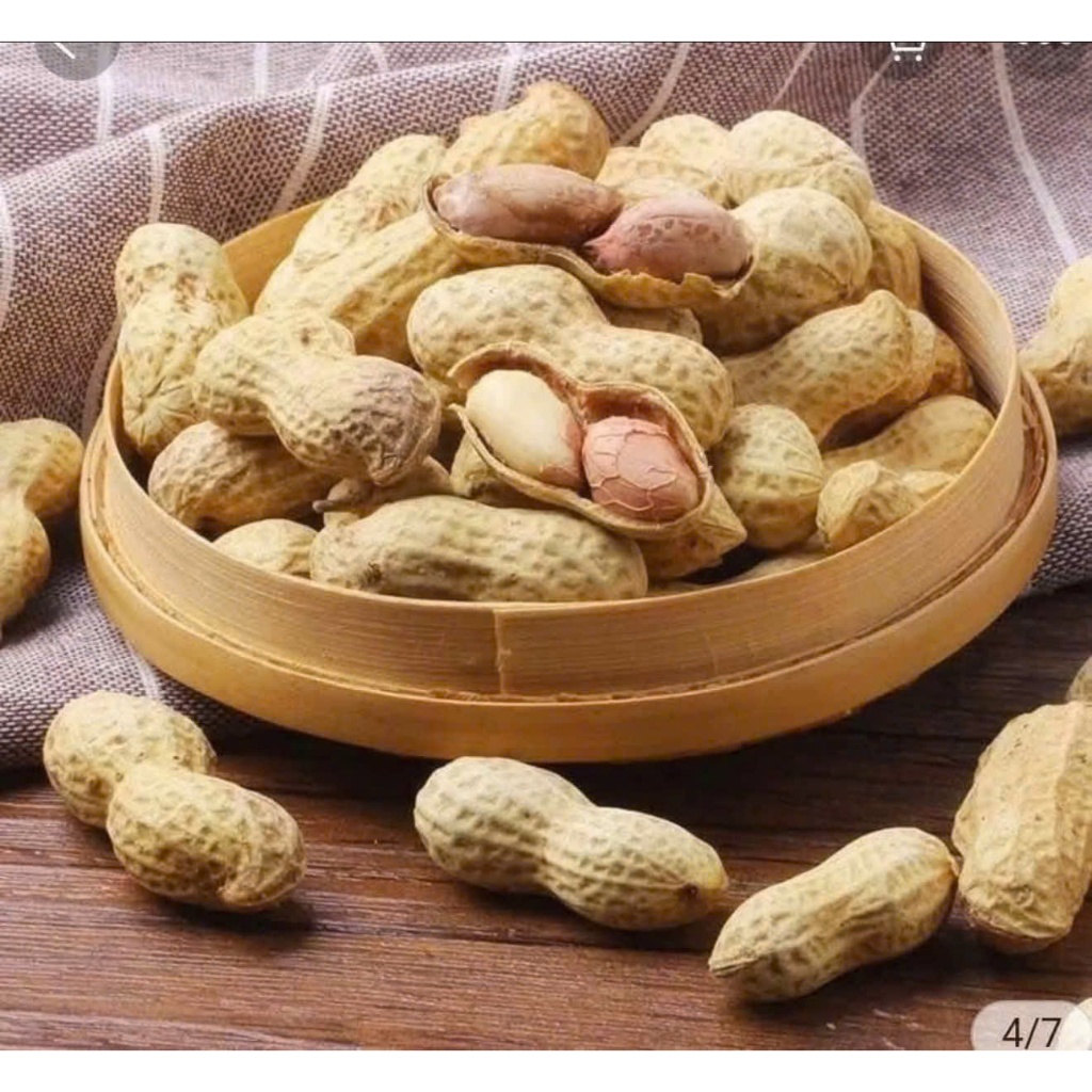 500G Seasoned Peanuts, Seasoned Whole Roasted Peanuts, Seasoned Roasted ...