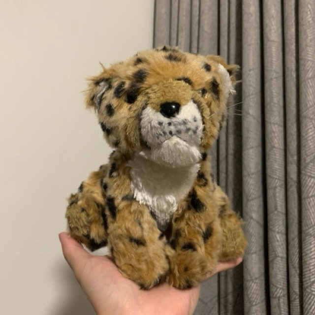[Fox] Leopard teddy bear - 2nd hand stuffed leopard Japanese - Korean ...