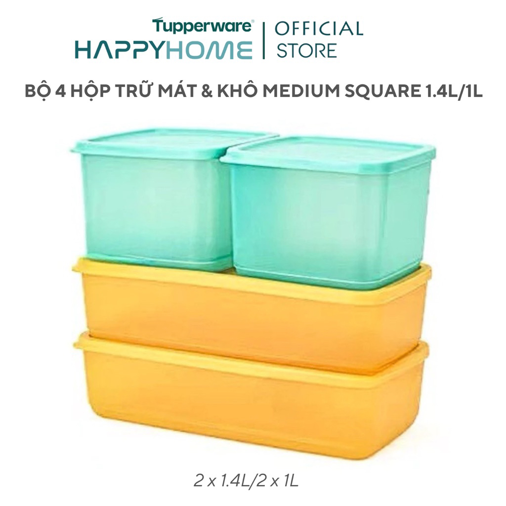 Set of 4 Genuine Tupperware Cool Storage Boxes 1L/ 1.4L Capacity ...