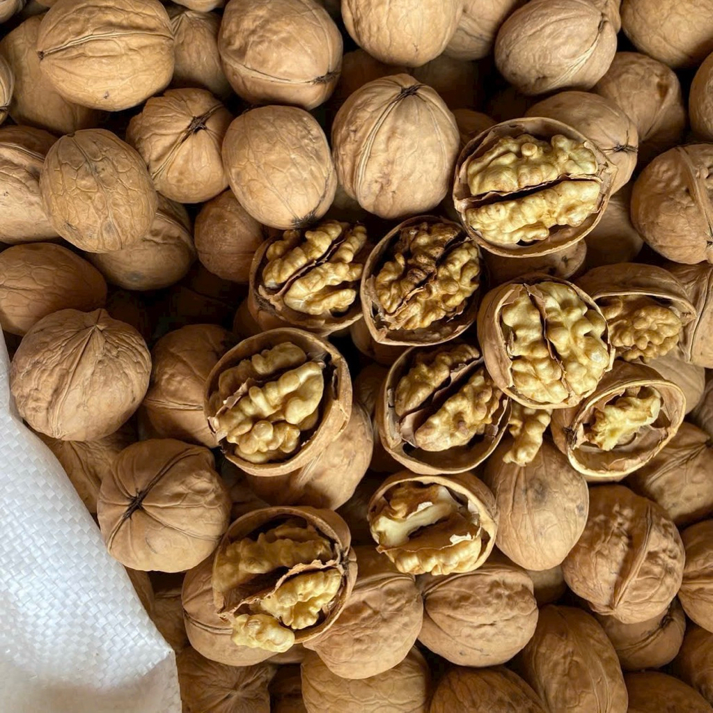 Golden Walnut Kernels 500g Box, Beautifully Shelled, Grade I - Super ...