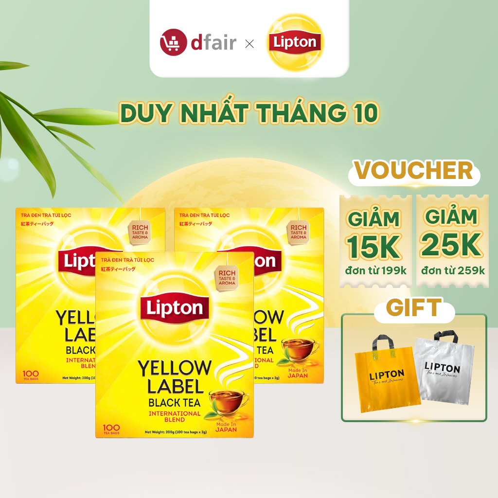 Combo of 3 Boxes of Lipton Yellow Label Black Tea Filter Bags (2g x 100 ...