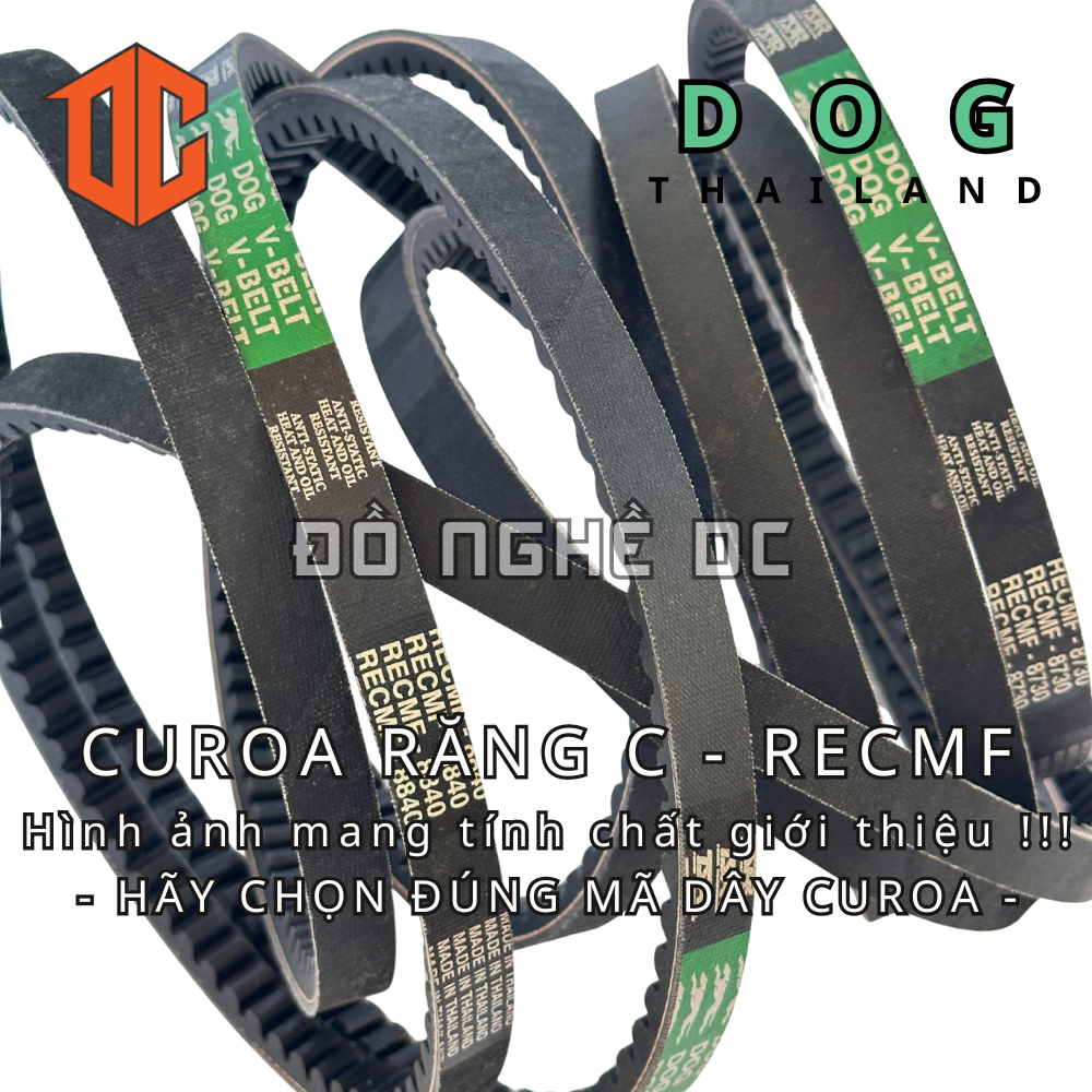 RECMF Thailand belt - DOG C98 C41 C53 C79 C33 C68 C81 C96 C89 C41 C90 ...