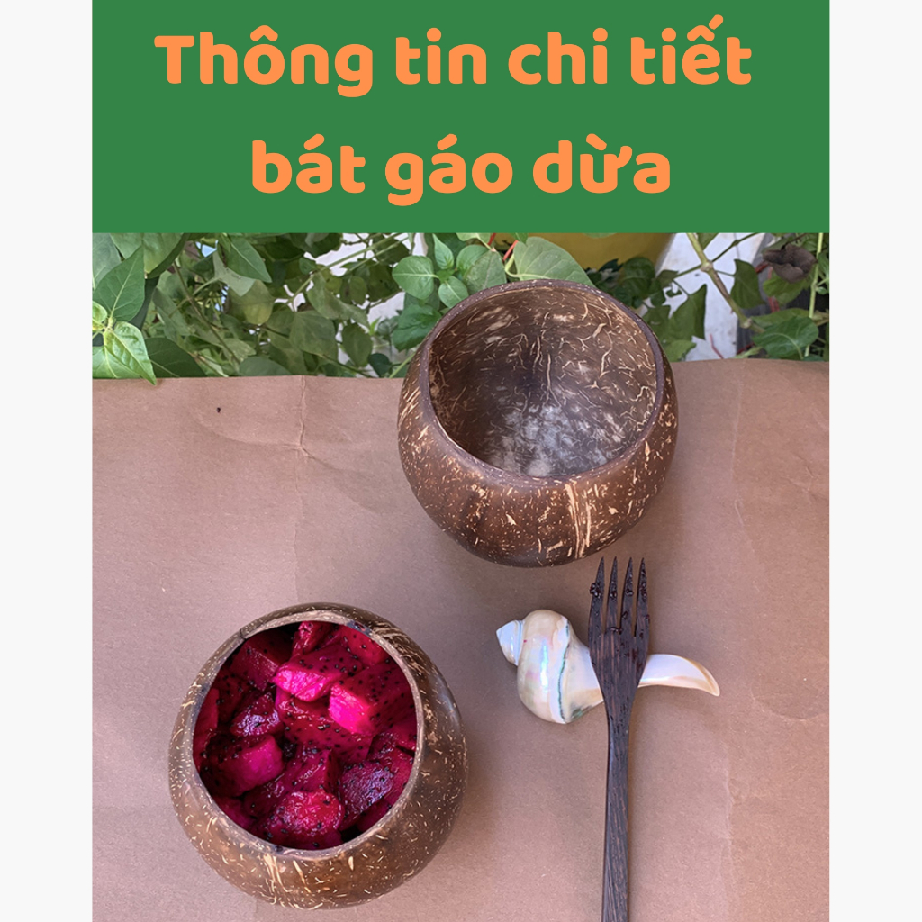 Stay ECO coconut shell bowl with base for eating oats, pickled fruits ...