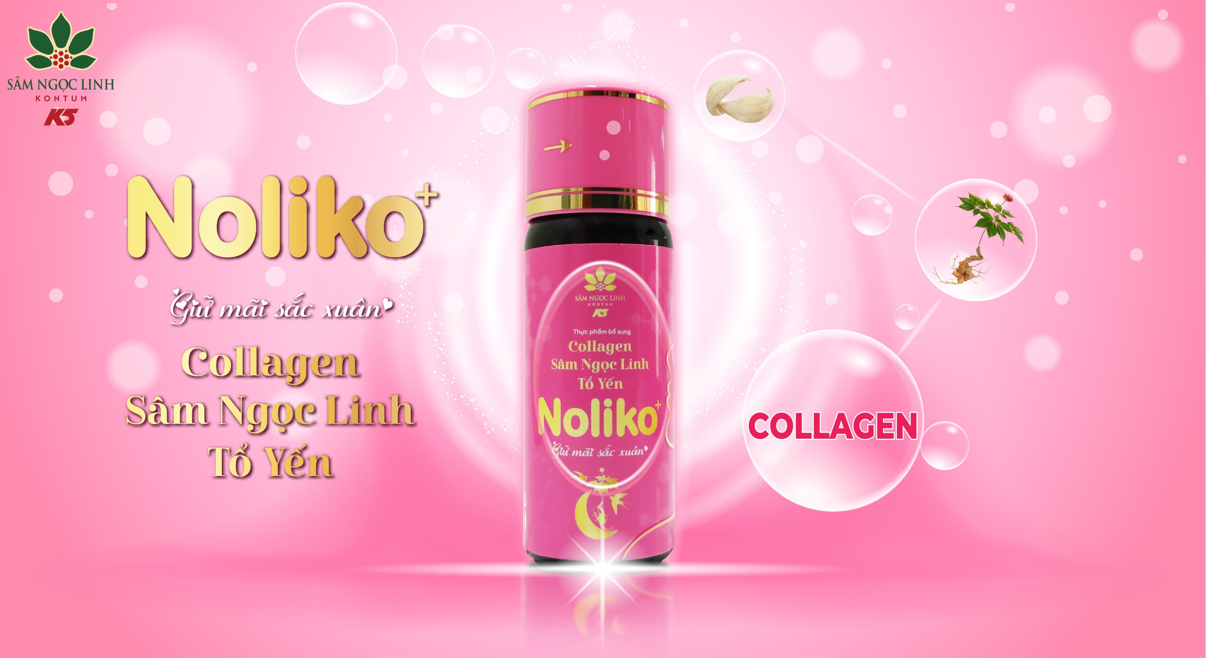 Noliko Ngoc Linh Ginseng K5 Box of 6 (50ml/bottle) | Shopee Philippines