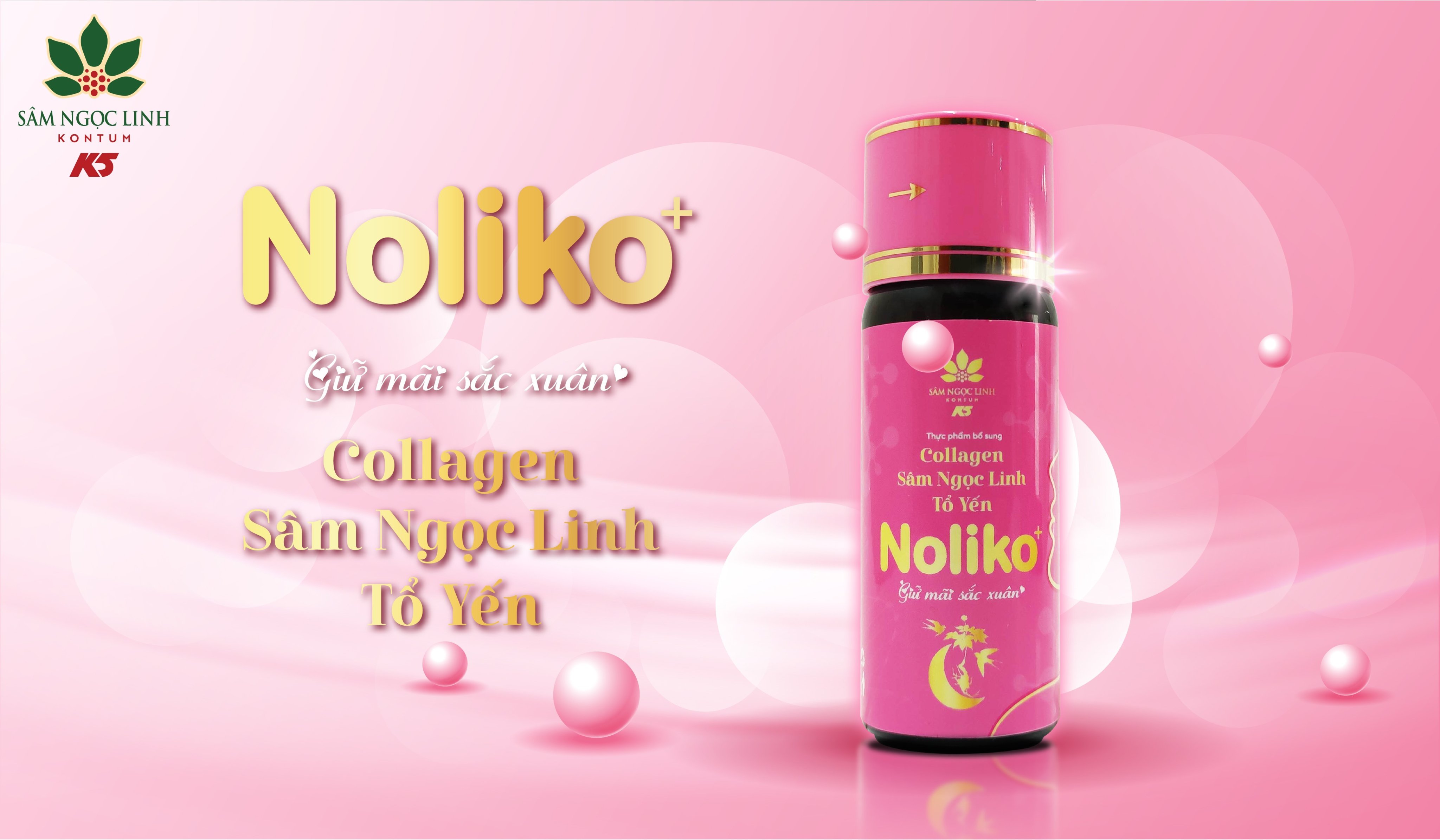 Noliko Ngoc Linh Ginseng K5 Box of 6 (50ml/bottle) | Shopee Philippines