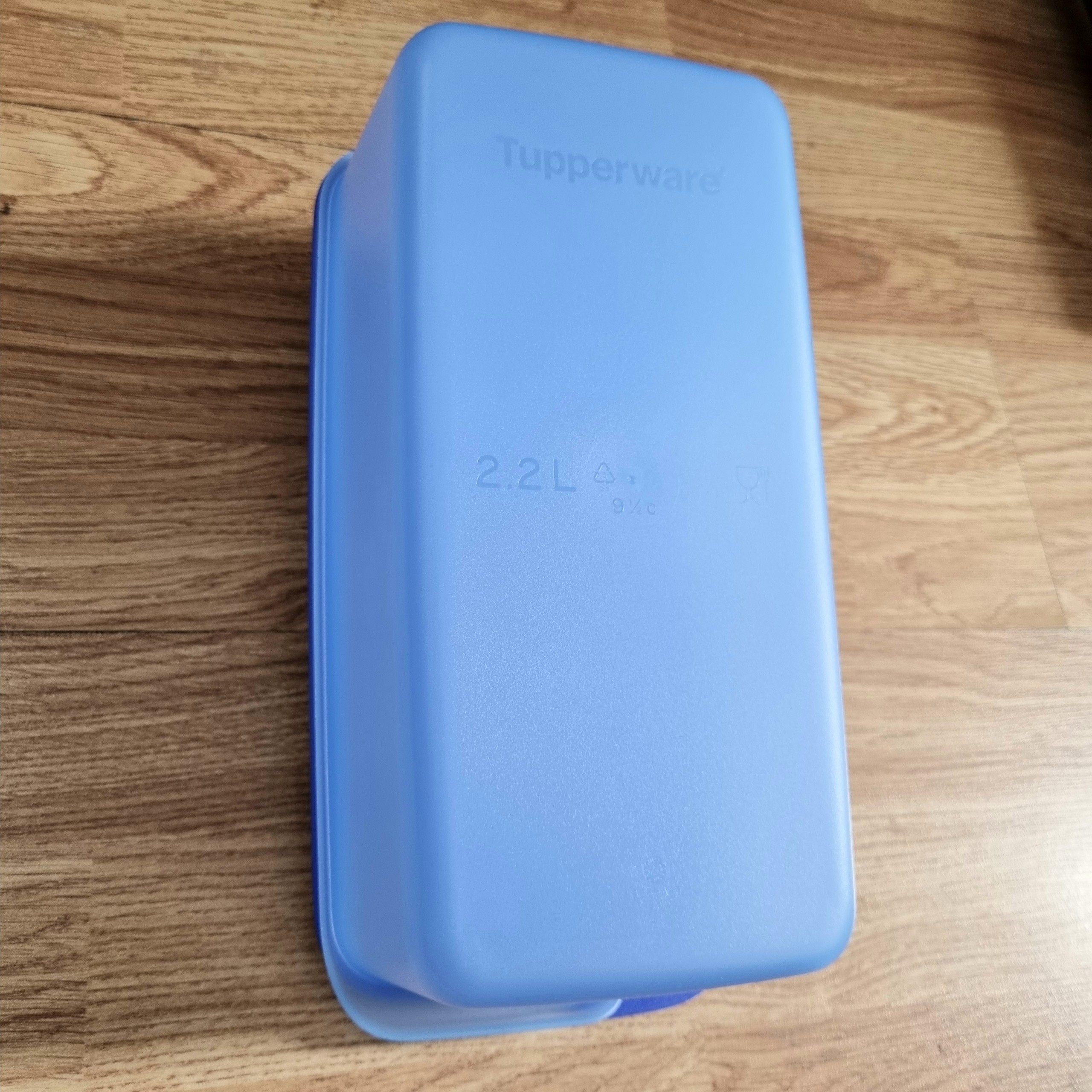 Single cool storage boxes & Tupperware dry storage of all sizes, virgin ...