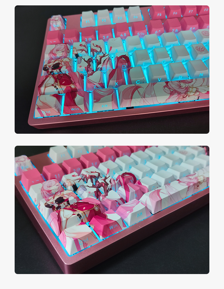 Keycap Honkai Impact 3 Elysia thick PBT ninja through led in dyesub 5 ...