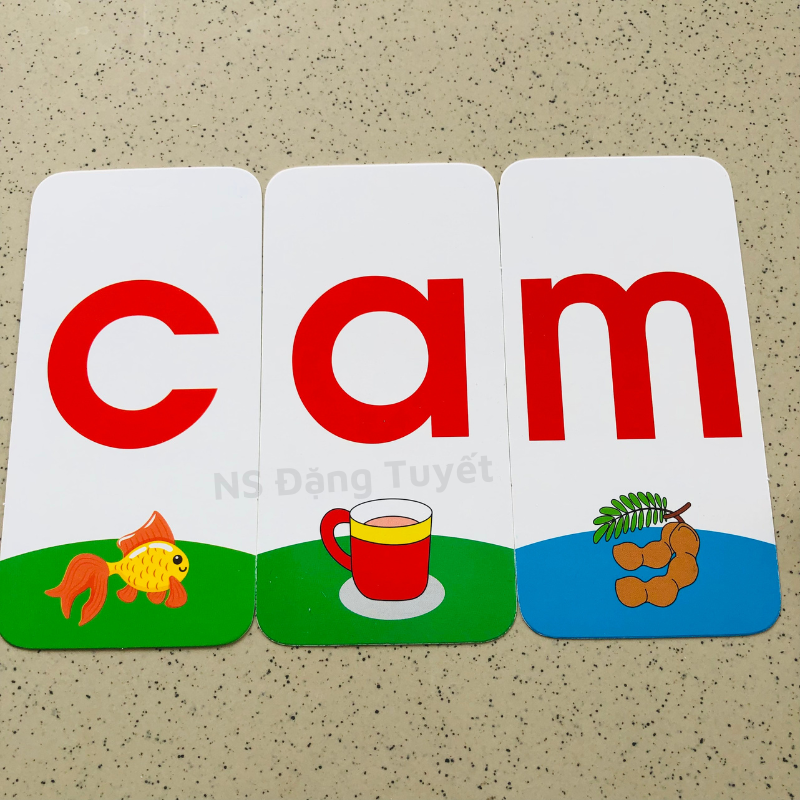 Book - Flashcard 42 Smart Learning Cards for Children Vietnamese ...