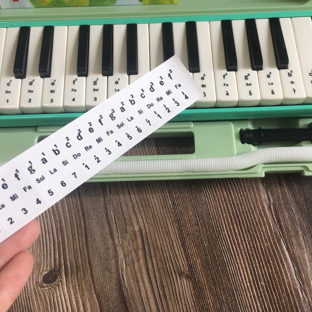 Key note Sticker for melodyon(melodica)32-37 keys | Shopee Philippines