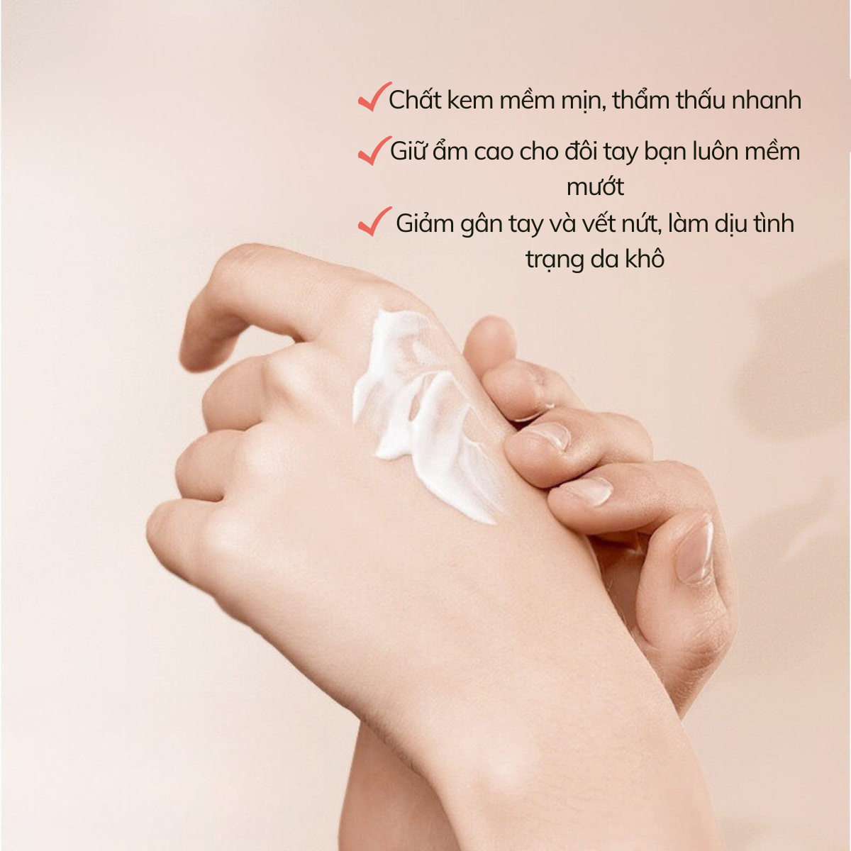 Combo of 10 Zencolor hand cream 30g, soft, smooth, moisturizing and ...
