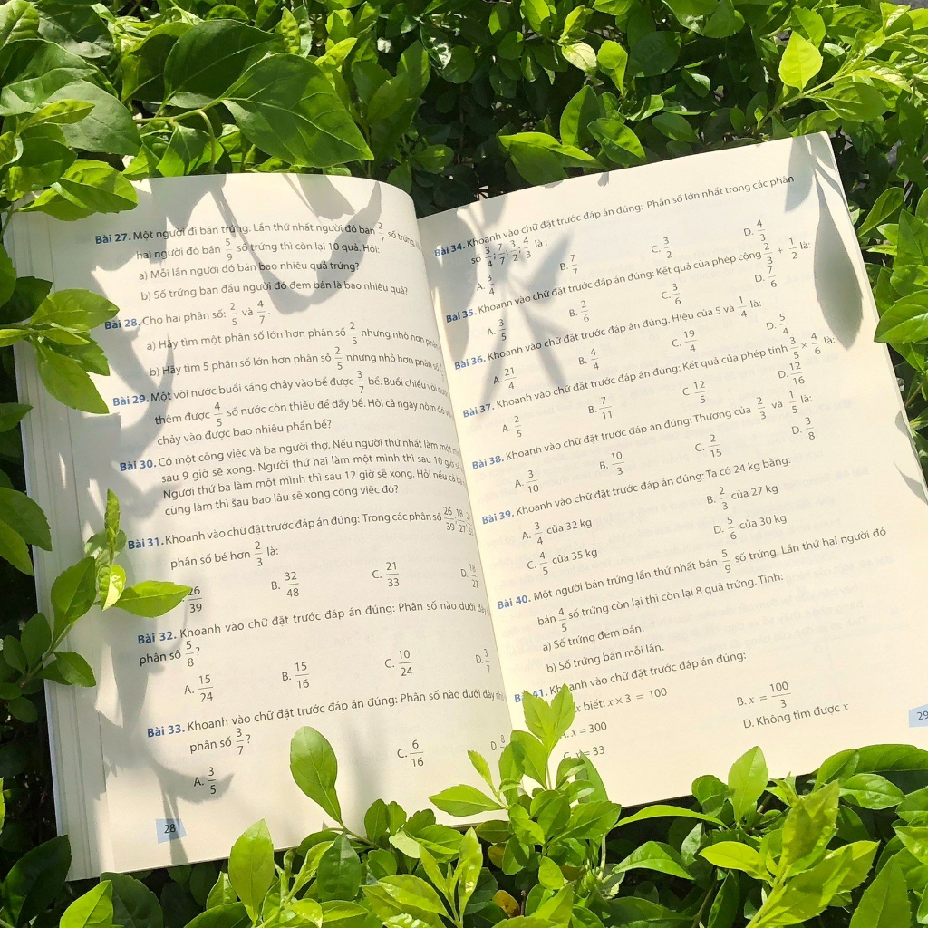 Book: Advanced Mathematics and Nurturing Gifted Students in Grade 4 ...