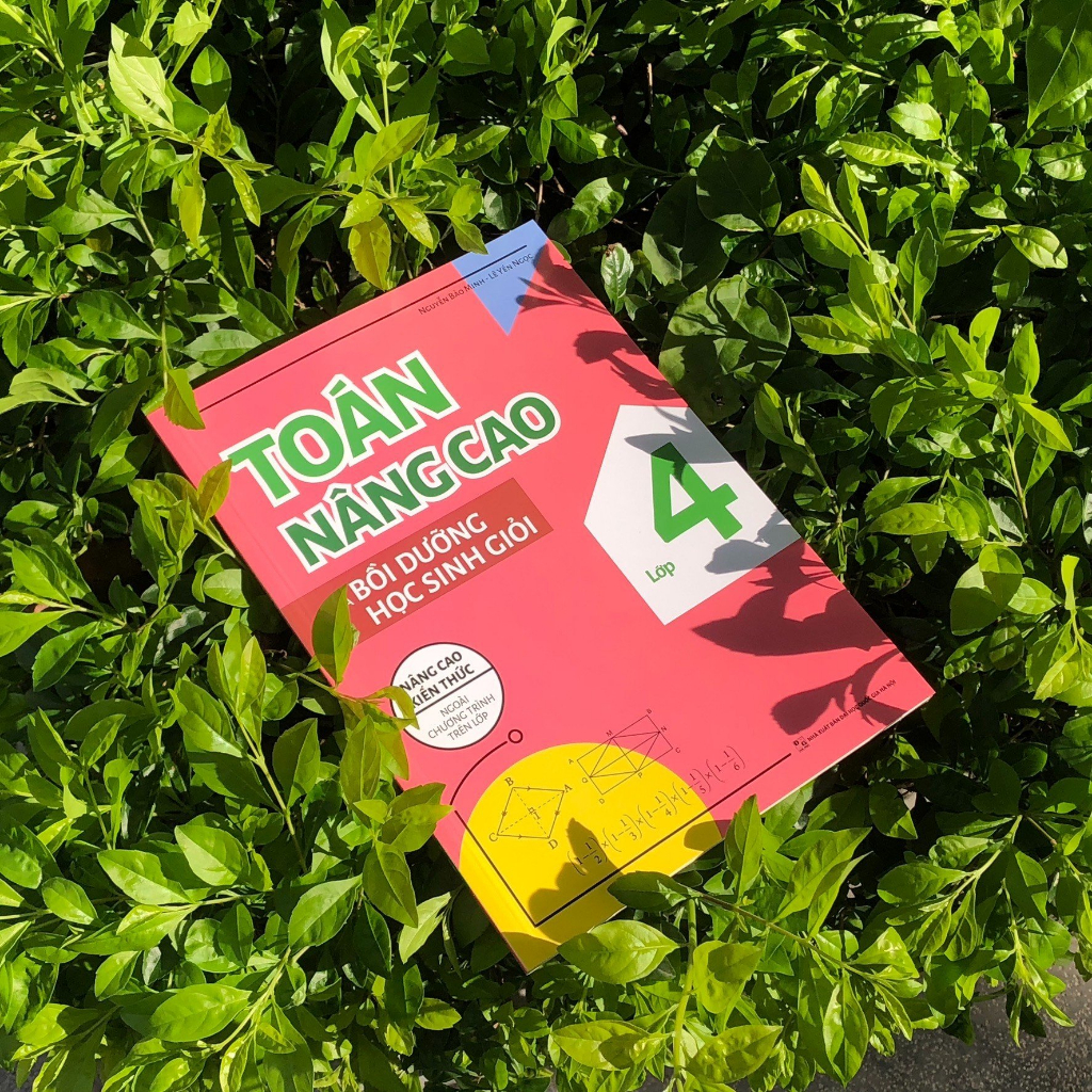 Book: Advanced Mathematics and Nurturing Gifted Students in Grade 4 ...