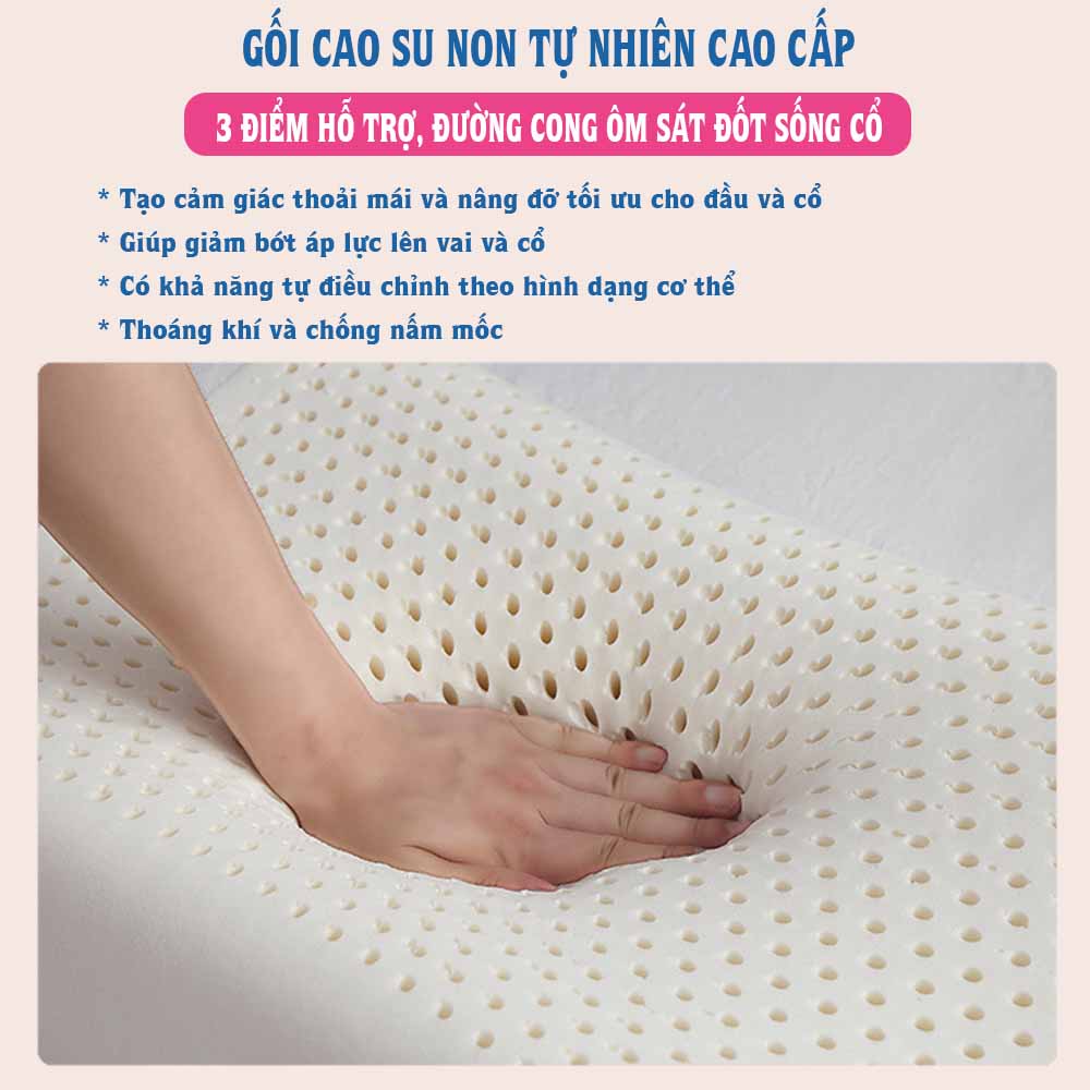 TOPAZ Adult Latex Pillow with Breathable Vents, Lifting Cervical ...