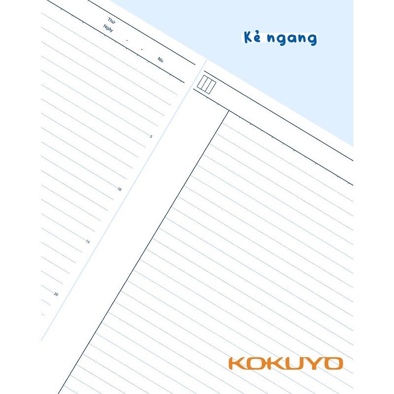 Lot of 5 horizontal notebooks with 200 pages A4 3D Patten Campus ...