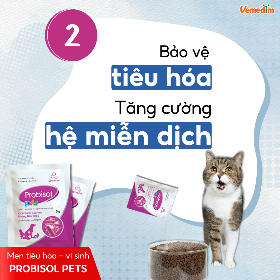 Vemedim Probisol for pets helps good digestion for dogs and cats (Set ...