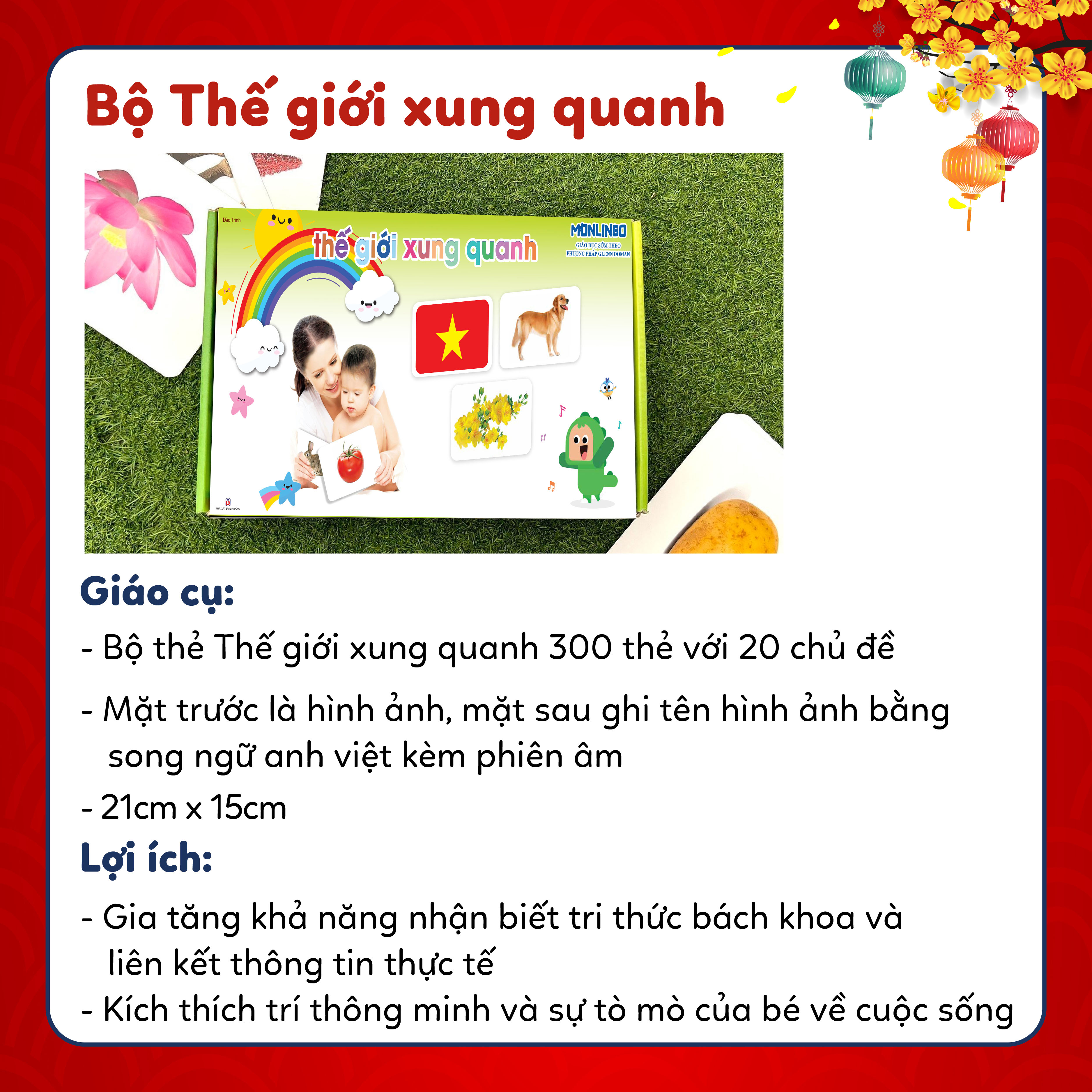 Set of 300 Glenn Doman Standard Smart Learning Cards for Children 0-6 ...