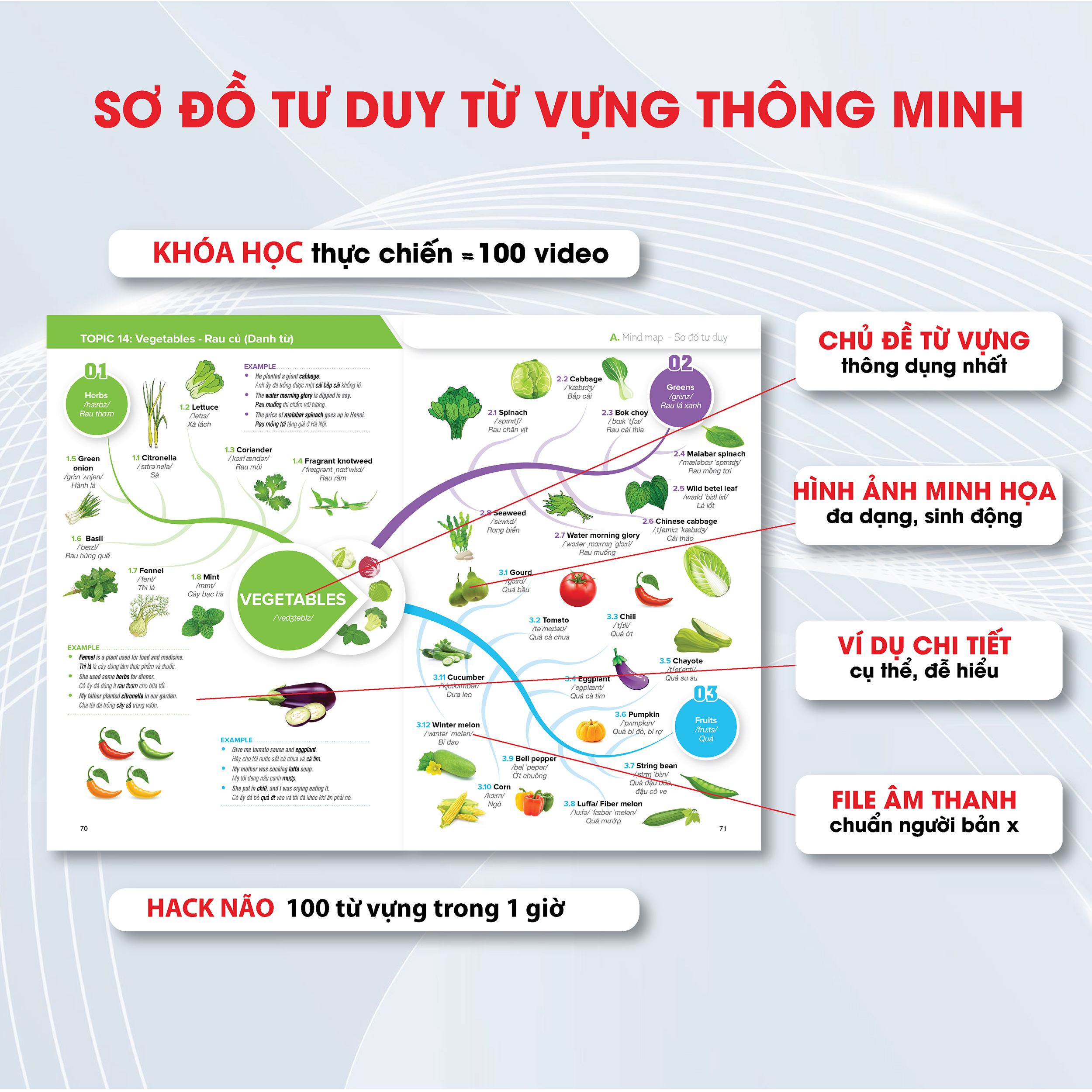 Book - Combo MIND MAP Hack 3000 English and English Vocabulary for ...