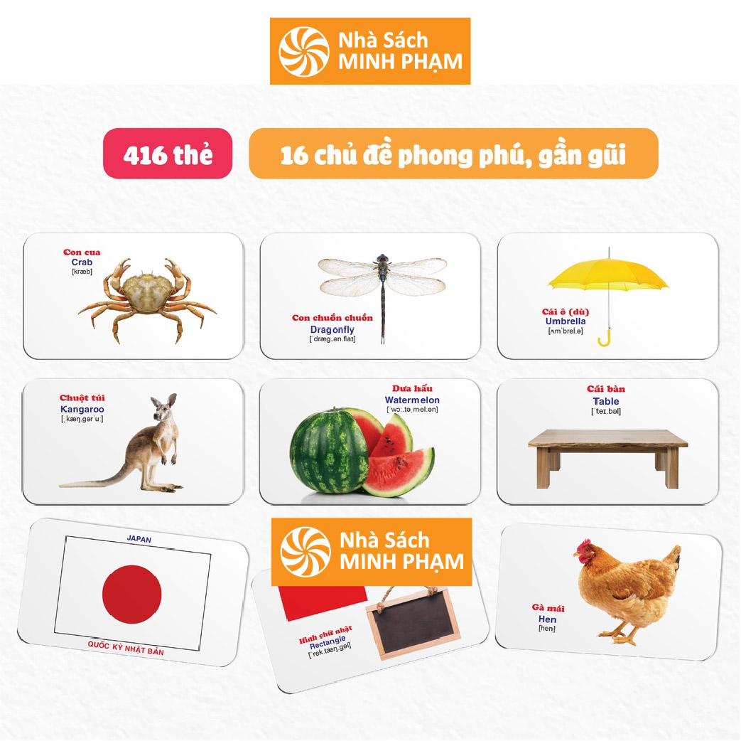 Flashcard Book - Smart Learning Card Set (416 English Flashcards 16 ...