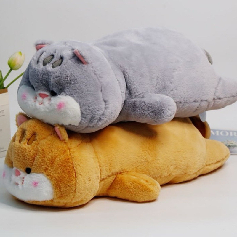 Capina.868 Premium Imported Fat Cat Teddy Bear - Fat Cat, Fat Cat, Fat ...