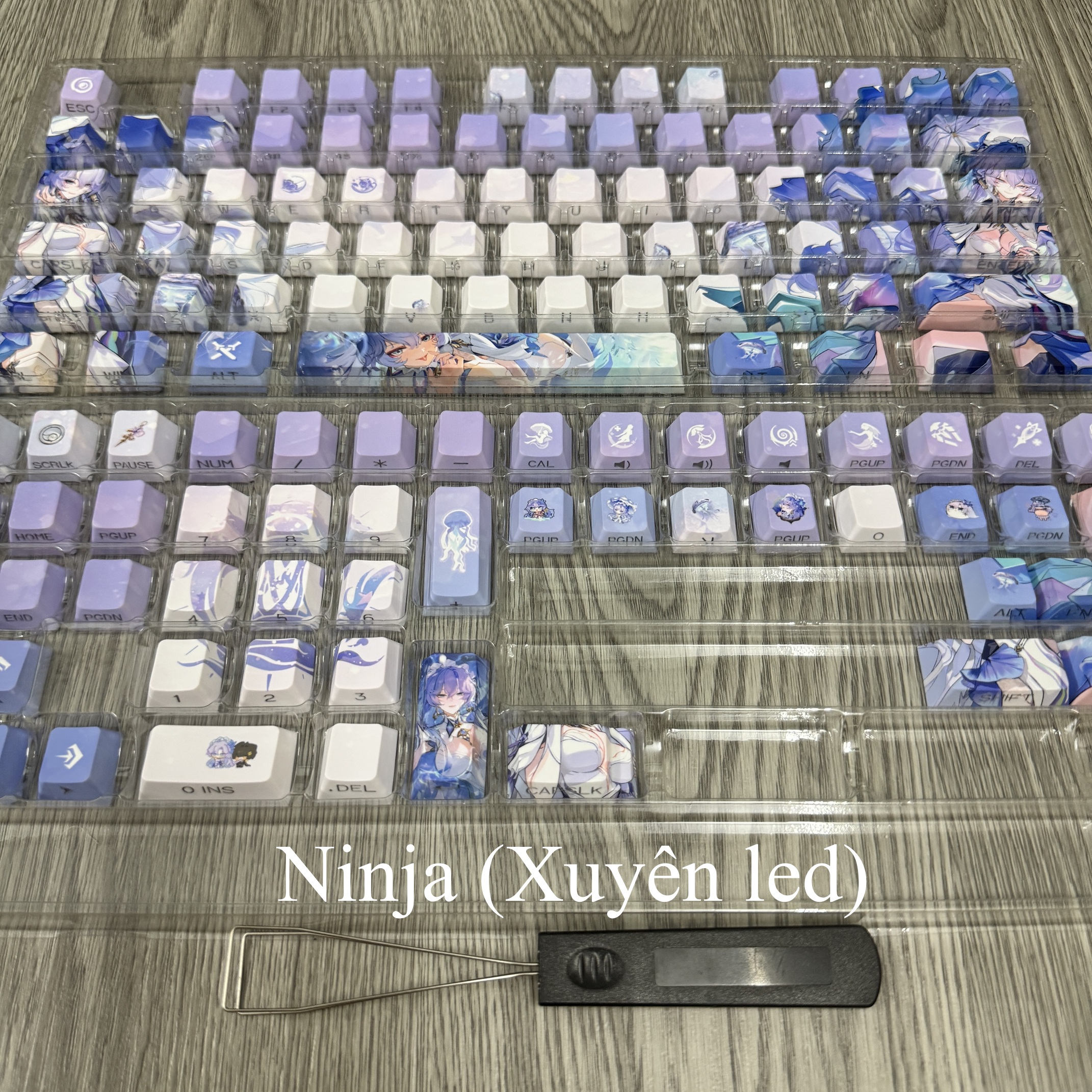 Wuthering Waves Cantarella thick PBT Keycap through led in dyesub 5 ...