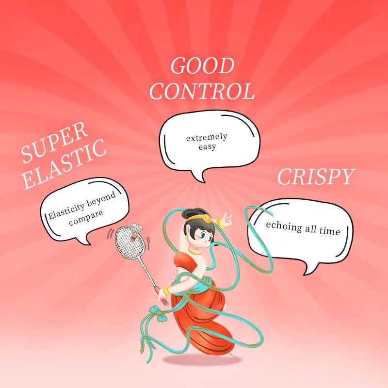 VS Goodes Hang Nga badminton racket, better control, elasticity and ...