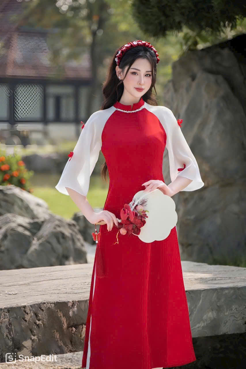 Ao dai set to wear CNY 2025, made of soft velvet, beaded collar, cool ...