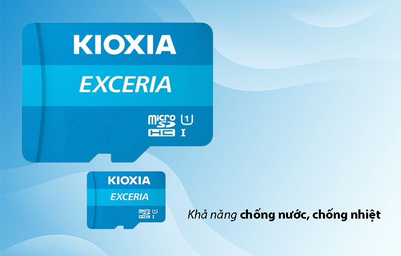 Kioxia Exceria UHS-I C10 256GB Micro SDXC Memory Card - Genuine | Shopee Philippines
