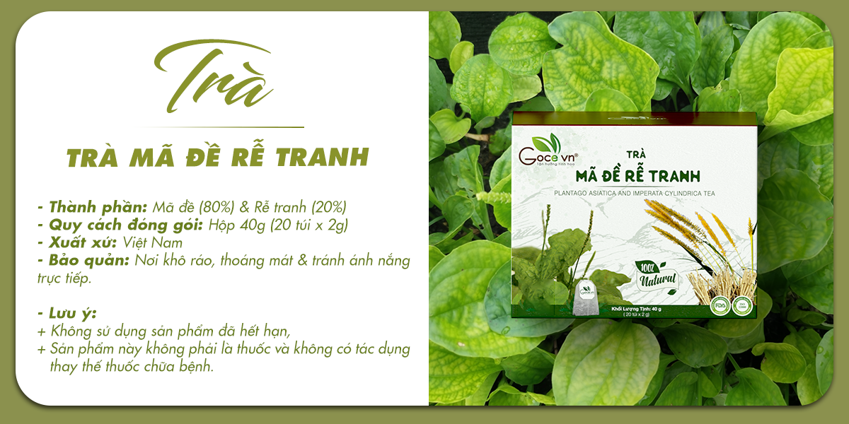 Goce psyllium root tea bag - Diuretic, good for the liver and kidneys ...