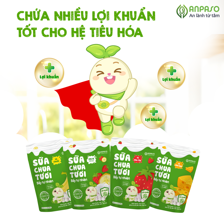 Anpaso Sublimation Dried Yogurt – Dried Yogurt Contains Natural ...
