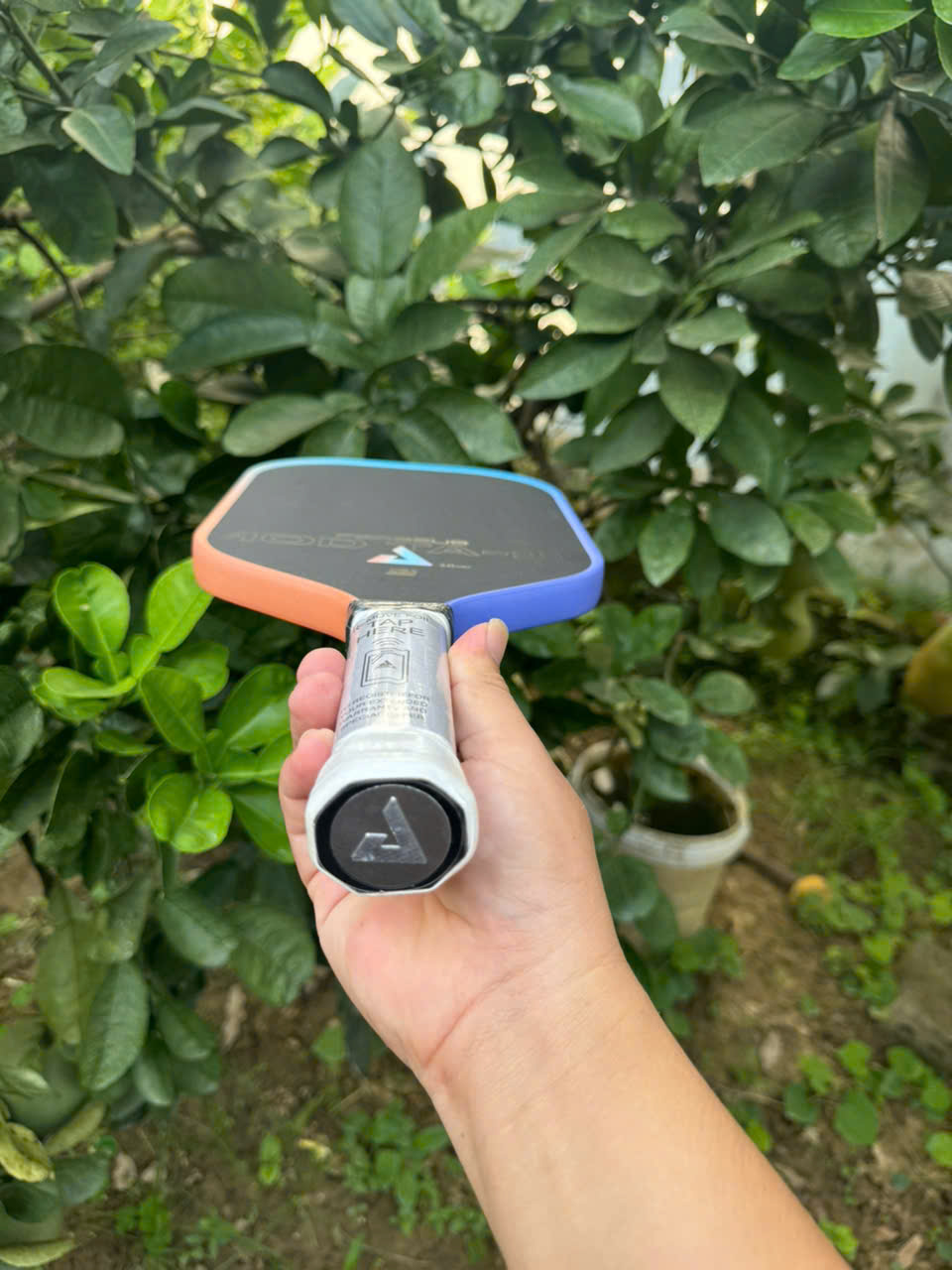 Super quality pickleball racket QUOC VIET SPORTS Joola Mod TA-15 Chroma ...