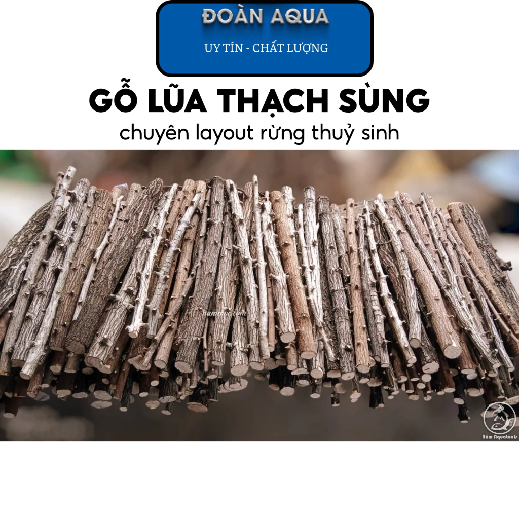 Thach Sung Wood Driftwood | Driftwood Setup Layout Natural Forest for ...